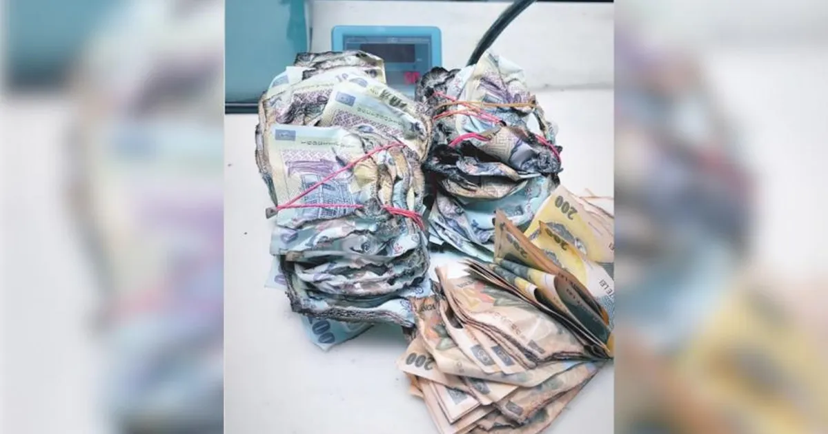 Un român s-a dus la Banca Națională cu un teanc de bancnote topite și a ...