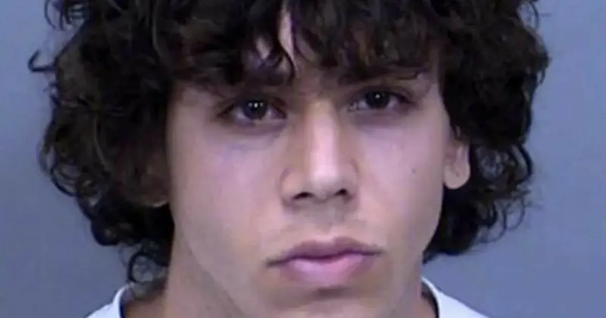 Un influencer a ajuns pe mâna poliției după ce făcea farse și le ...