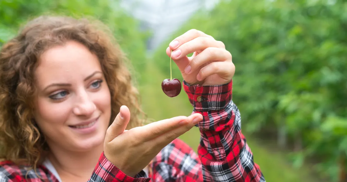 Fructele iubite de regi care te ajută să adormi mai repede și profund ...