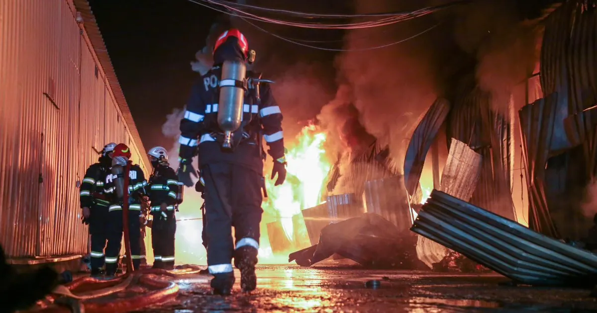 Incendiu la Grădina Zoologică din București. Au fost trimise 11 mașini ...