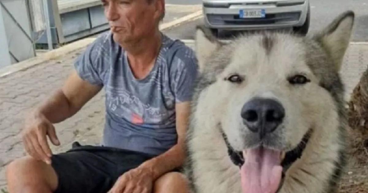 Povestea românului care a murit după ce a ales să aibă grijă de câinele ...