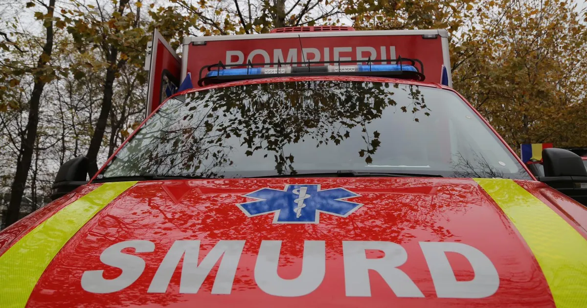 Accident fatal în Reșița. Un tânăr a murit după ce un copac a căzut ...