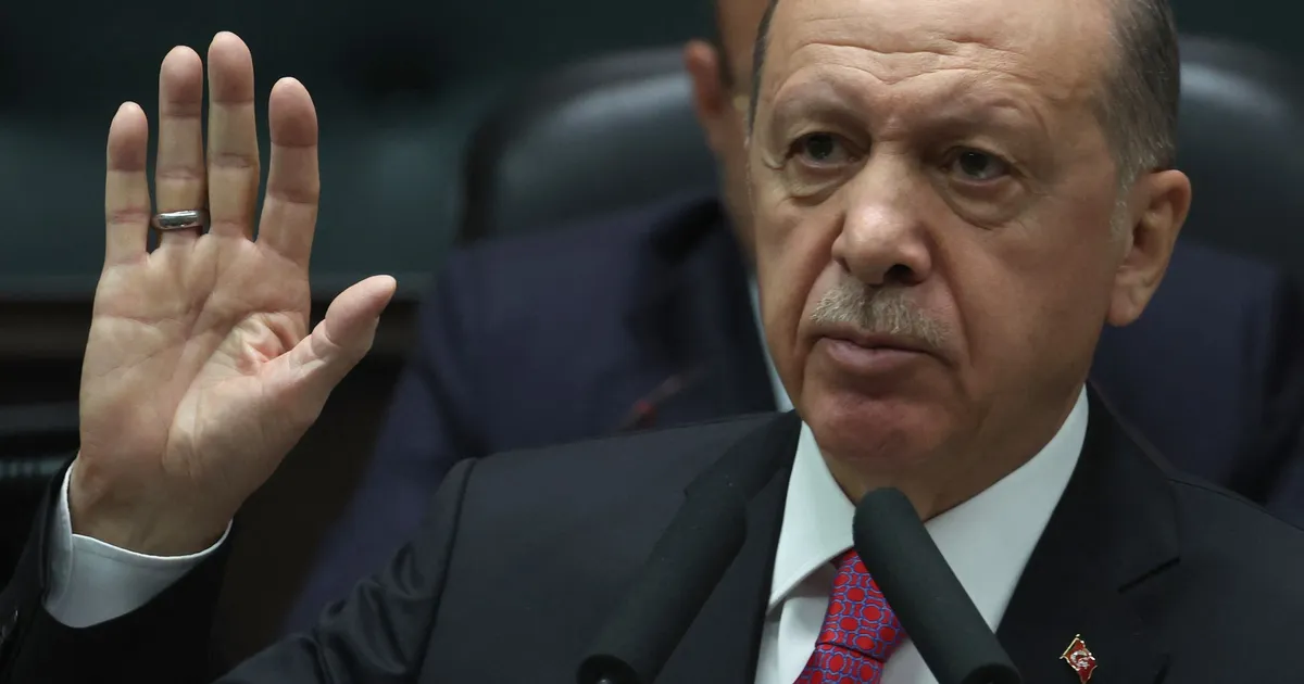 Erdogan oferă Europei „gaz turcesc venit din Rusia”. „Am convenit cu ...
