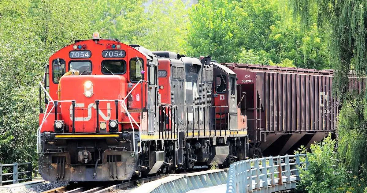 Tren cu 28 de vagoane, oprit la intrarea în România. Ce au descoperit ...
