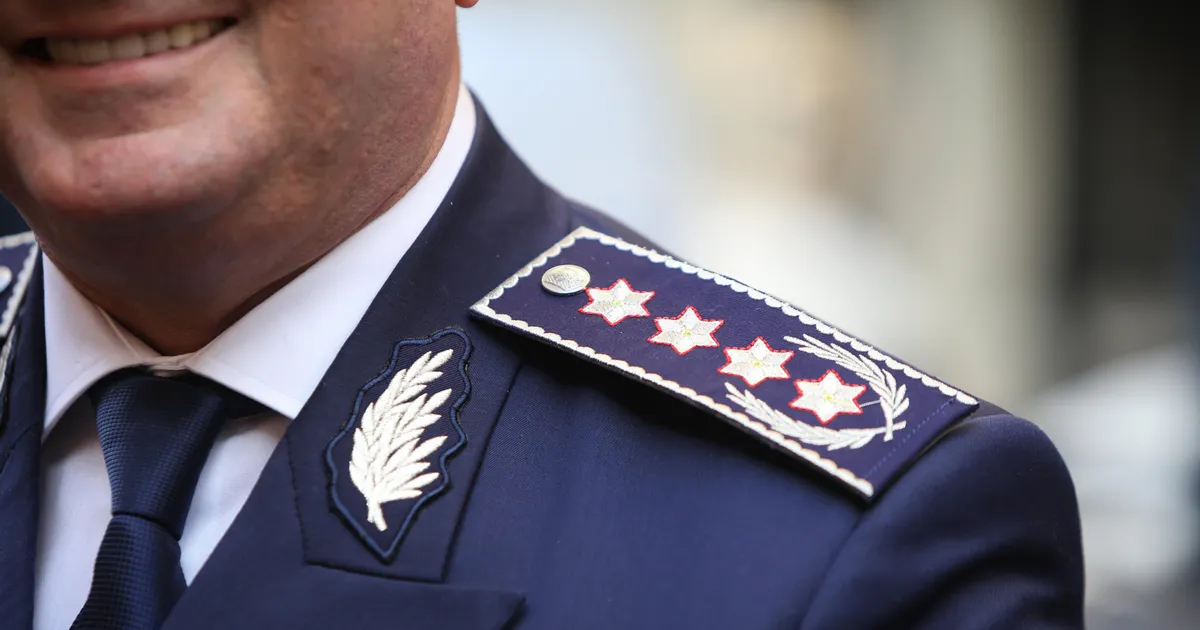 Trei polițiști s-au luat la bătaie la petrecerea șefului de Post. Cum ...