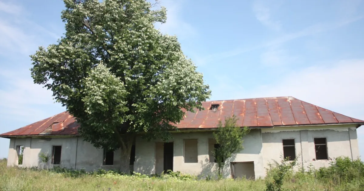 Casa copilăriei poetului Alexandru Macedonski așteaptă să fie salvată ...