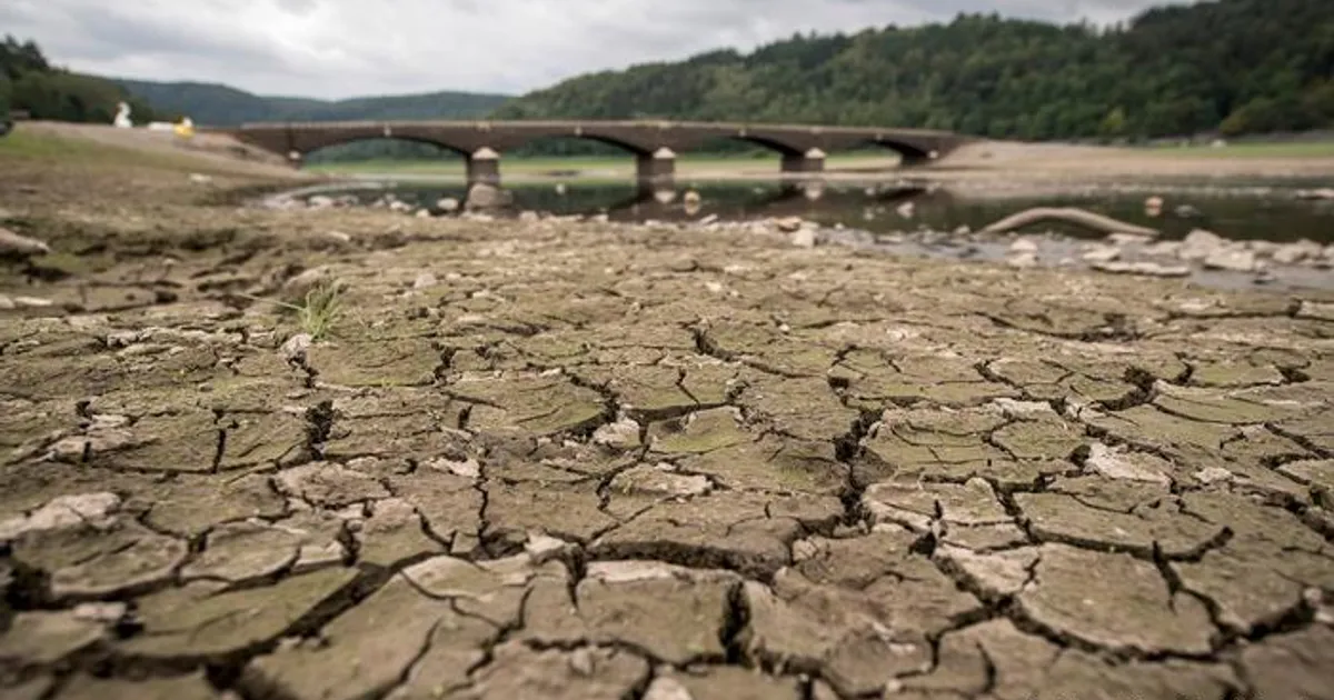 Schimbările climatice, un risc pentru sănătate • Newsweek România