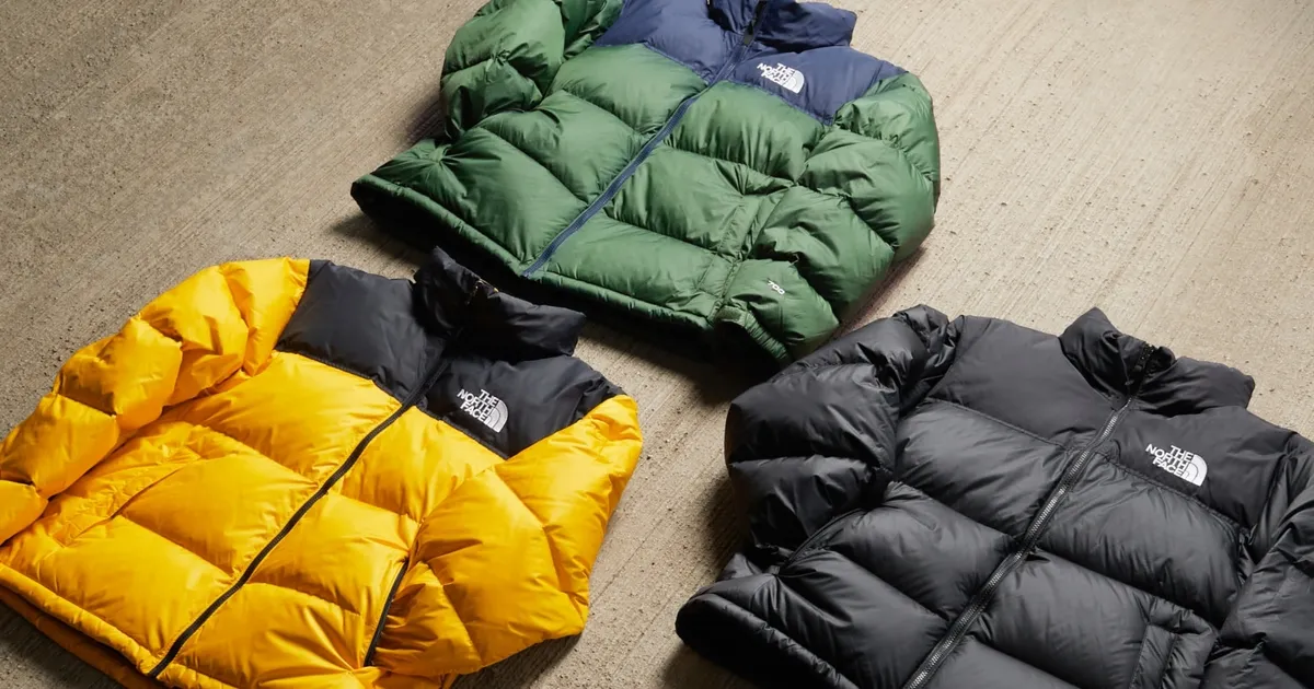 Stil și confort termic – jachete din puf The North Face de la JD Sports ...