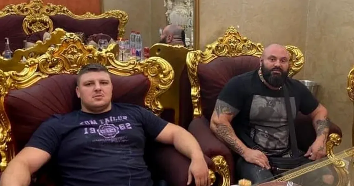 Urmărit cu mașinile de poliție, Interlopul Box s-a oprit în stâlp. L-a ...